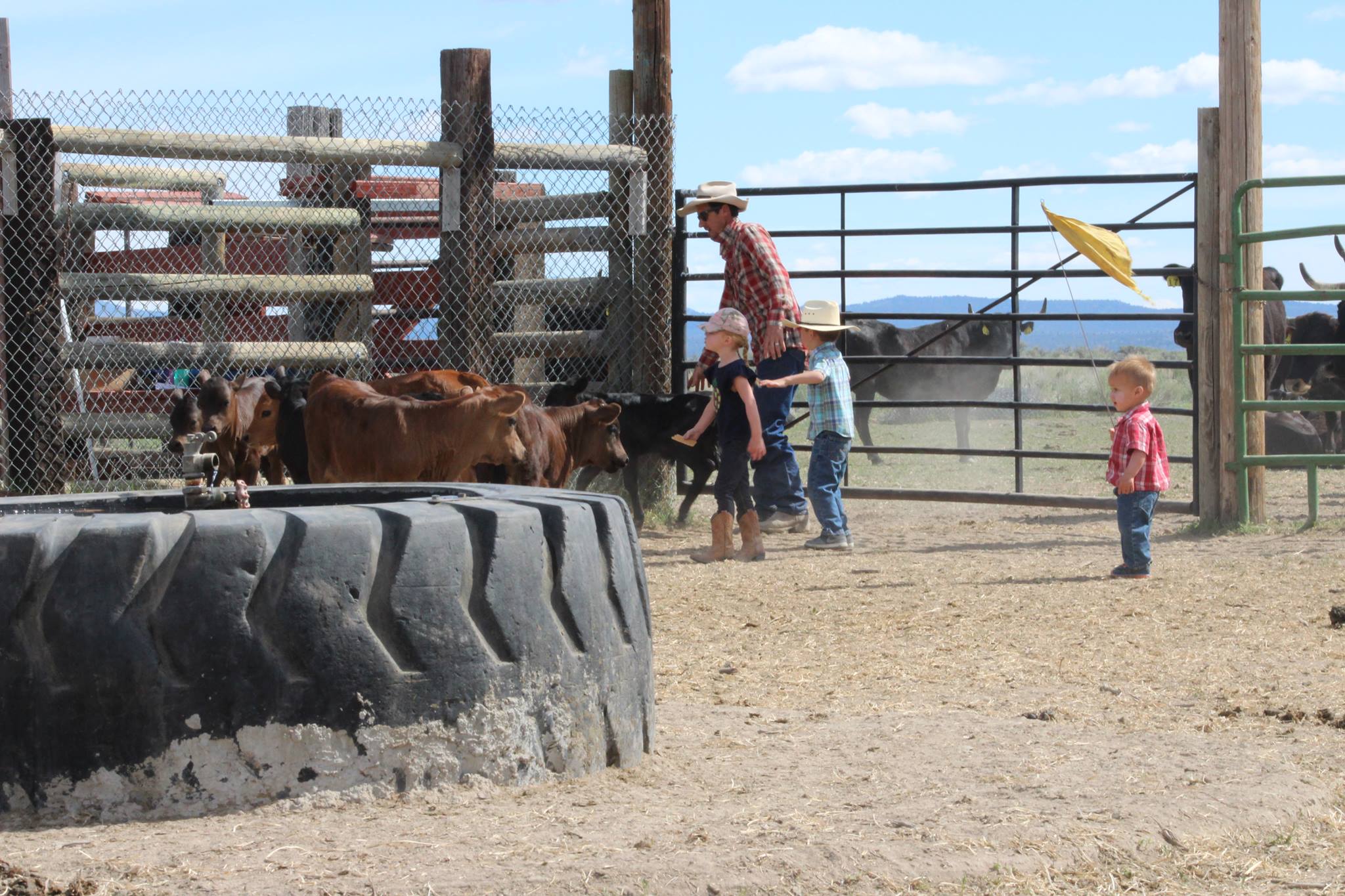 Raising Ranch Kids - Arrow J Beef